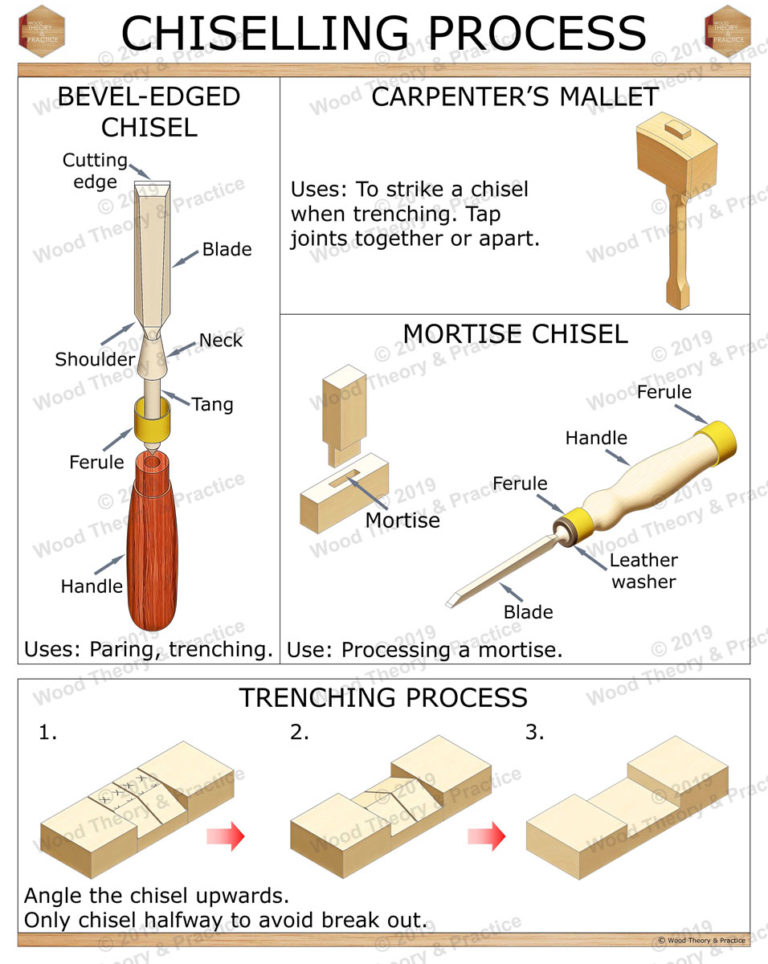 21 Wood Technology Posters - Theory & Practice