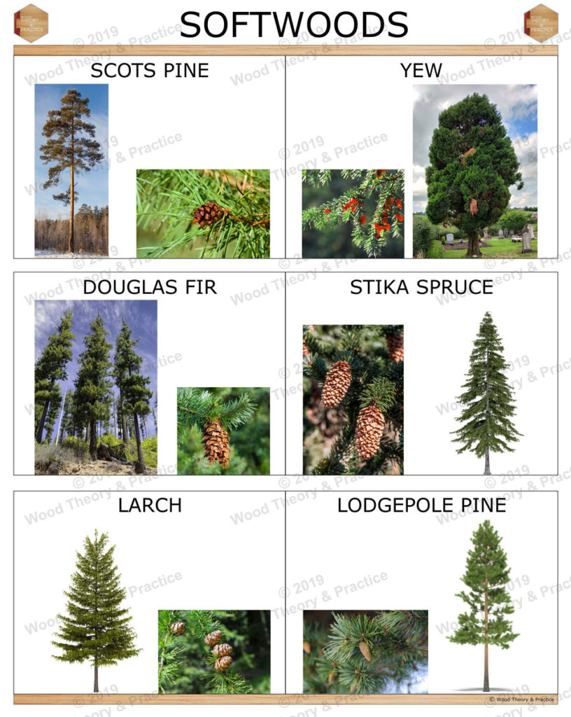 21 Wood Technology Posters - Theory & Practice