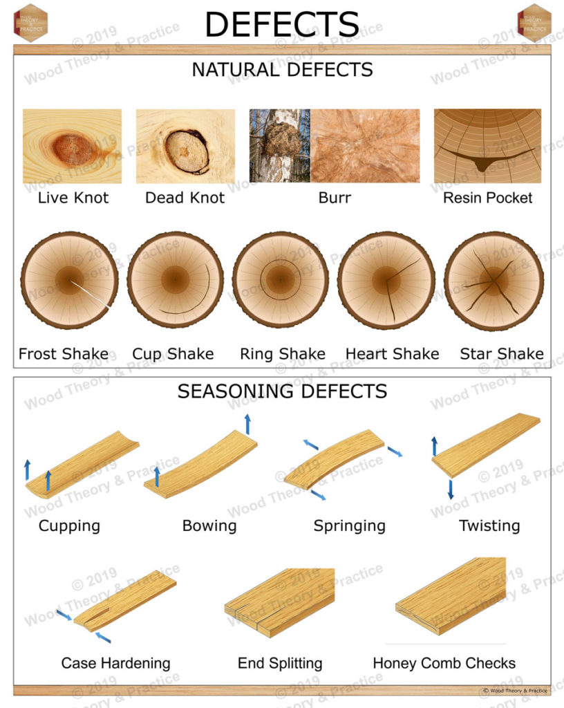 21 Wood Technology Posters - Theory & Practice